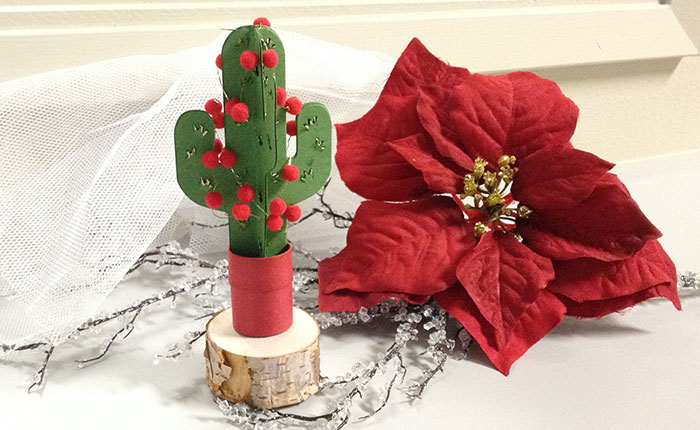 Christmas Cactus Craft – LyndaCreates