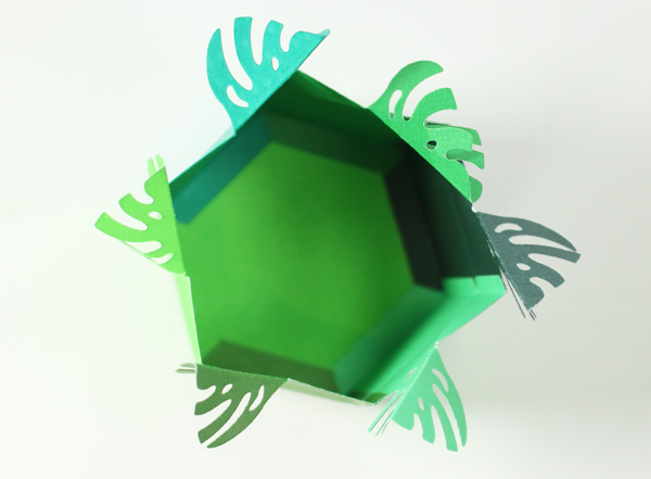 Tropicool Twist Box for Summer DIY Parties – LyndaCreates