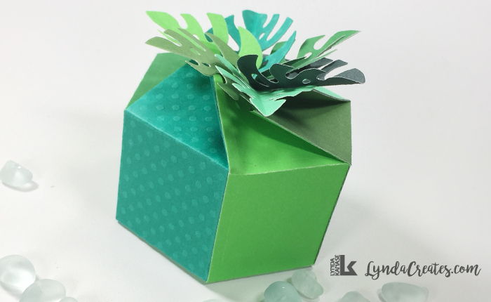 Tropicool Twist Box for Summer DIY Parties – LyndaCreates
